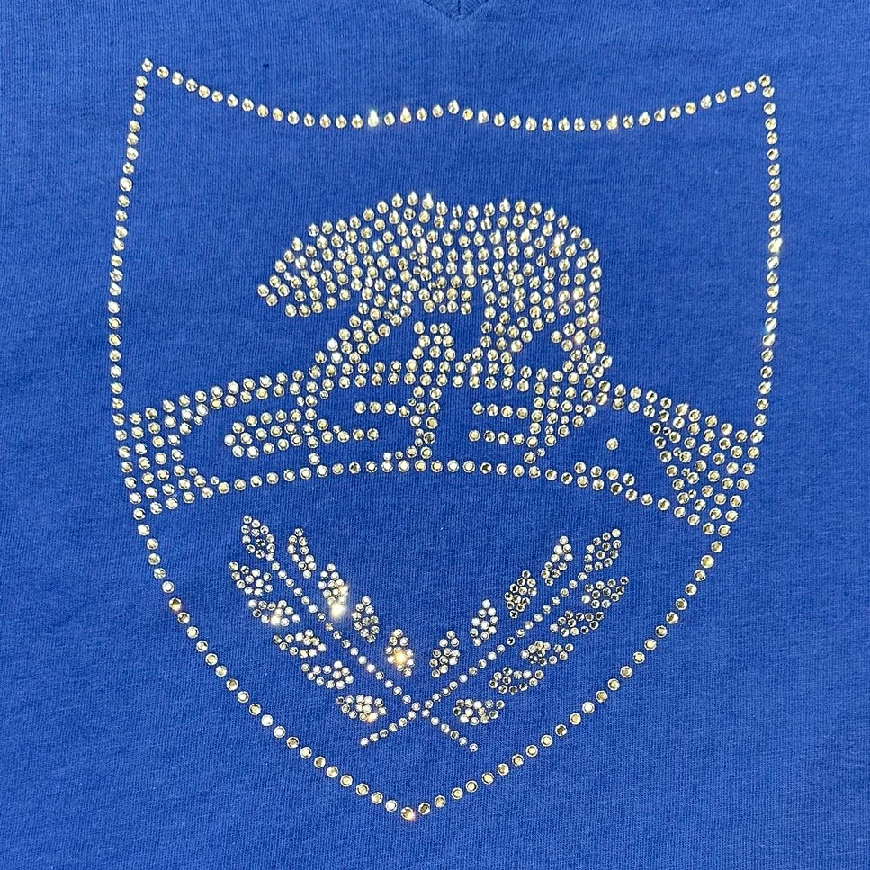 Silver OR Gold Rhinestone CSEA on Royal Blue - 5 Shirt Style Choices ...